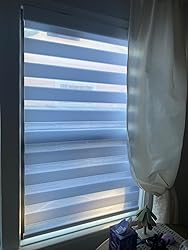 Amazon.com: DONGFXK Motorized Zebra Blinds with Remote Control,Solar Powered Rechargeable Dual ...