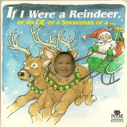 If I Were a Reindeer: D'Audrea, Deborah: 9781878338037: Amazon.com: Books