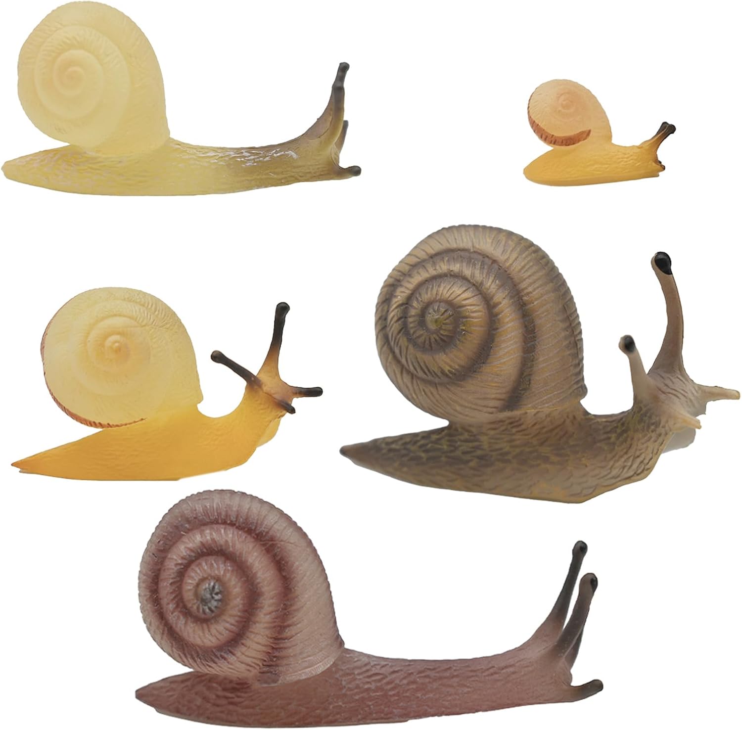 Amazon.com: Pinenjoy 5Pcs Realistic Miniature Snail Figurines Mini ...