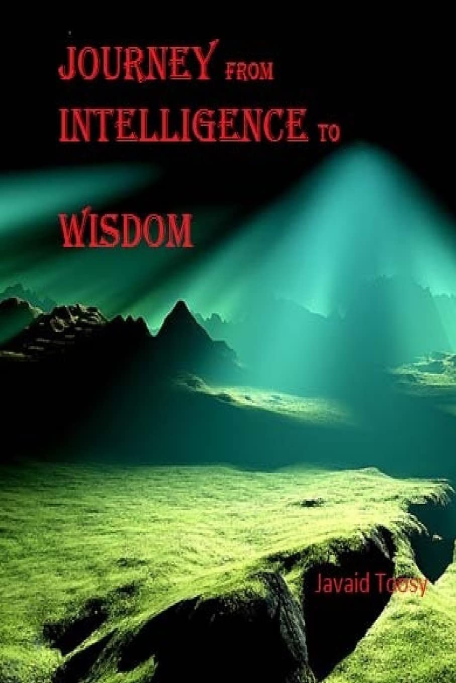 Journey from Intelligence to Wisdom: philosophy: Toosy, Javaid, Toosy ...
