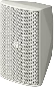 Amazon.com: TOA F-1000WT Wide-Dispersion Two-way Speaker System, White, 15W Rated Power, 90º ...