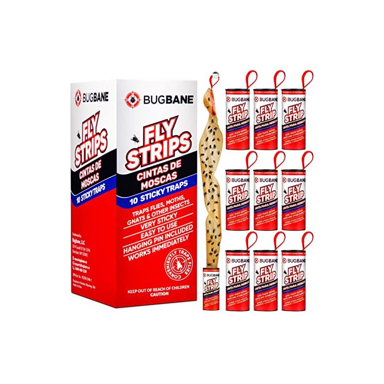 10 Fly Strips Indoor Sticky Hanging with Pins. Fly Trap Fly Paper ...