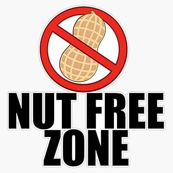 Amazon.com - Nut Free Zone Peanut Allergy Sticker Vinyl Bumper Sticker ...