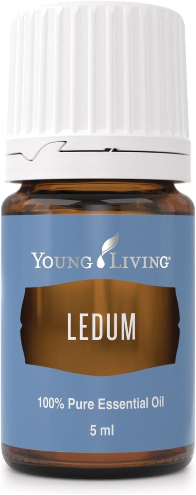 Amazon.com: Young Living Ledum Premium Essential Oil - 5ml - Natural ...