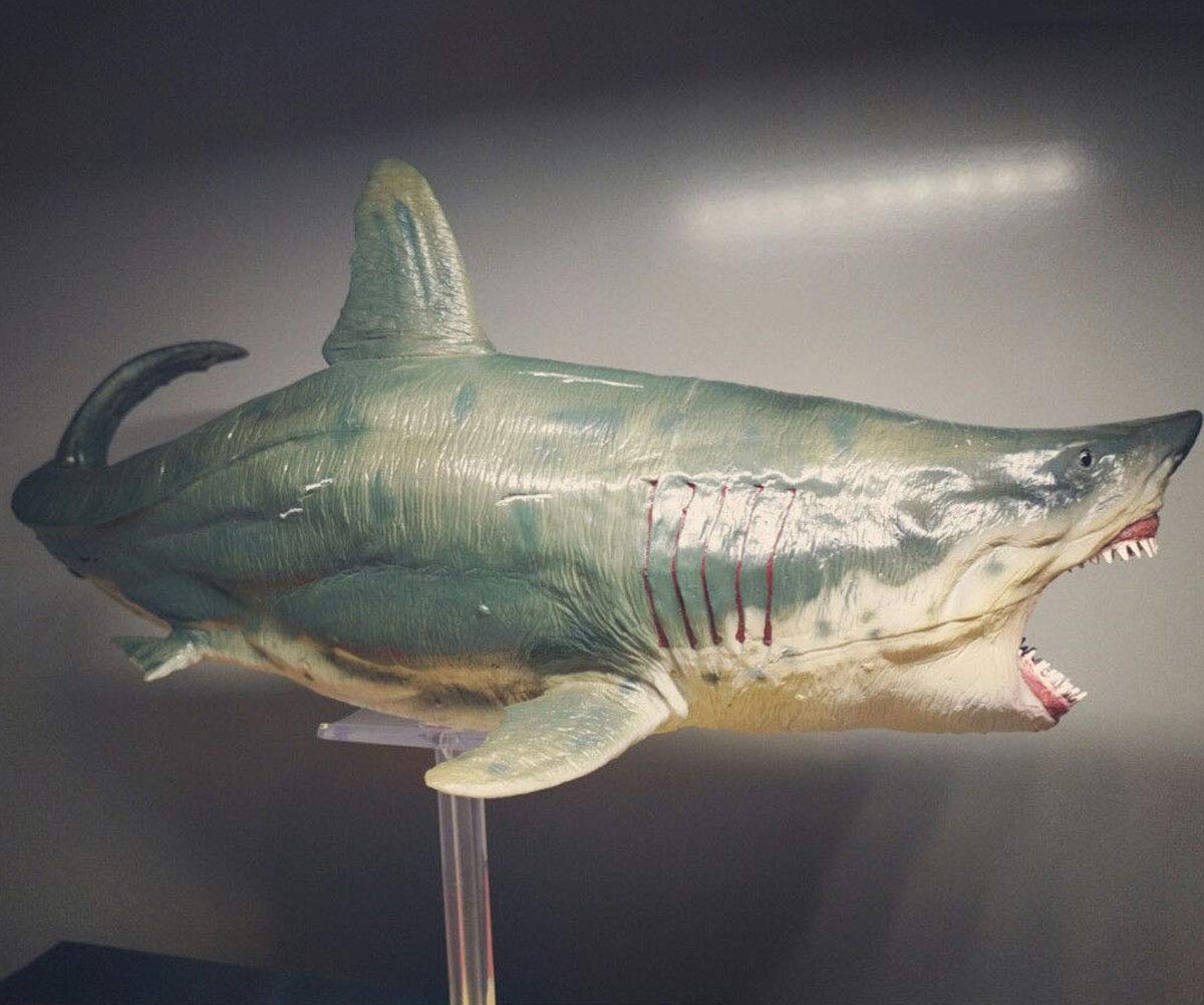 PNSO Megalodon Shark Prehistoric Sea Ocean Animal PVC Models ...