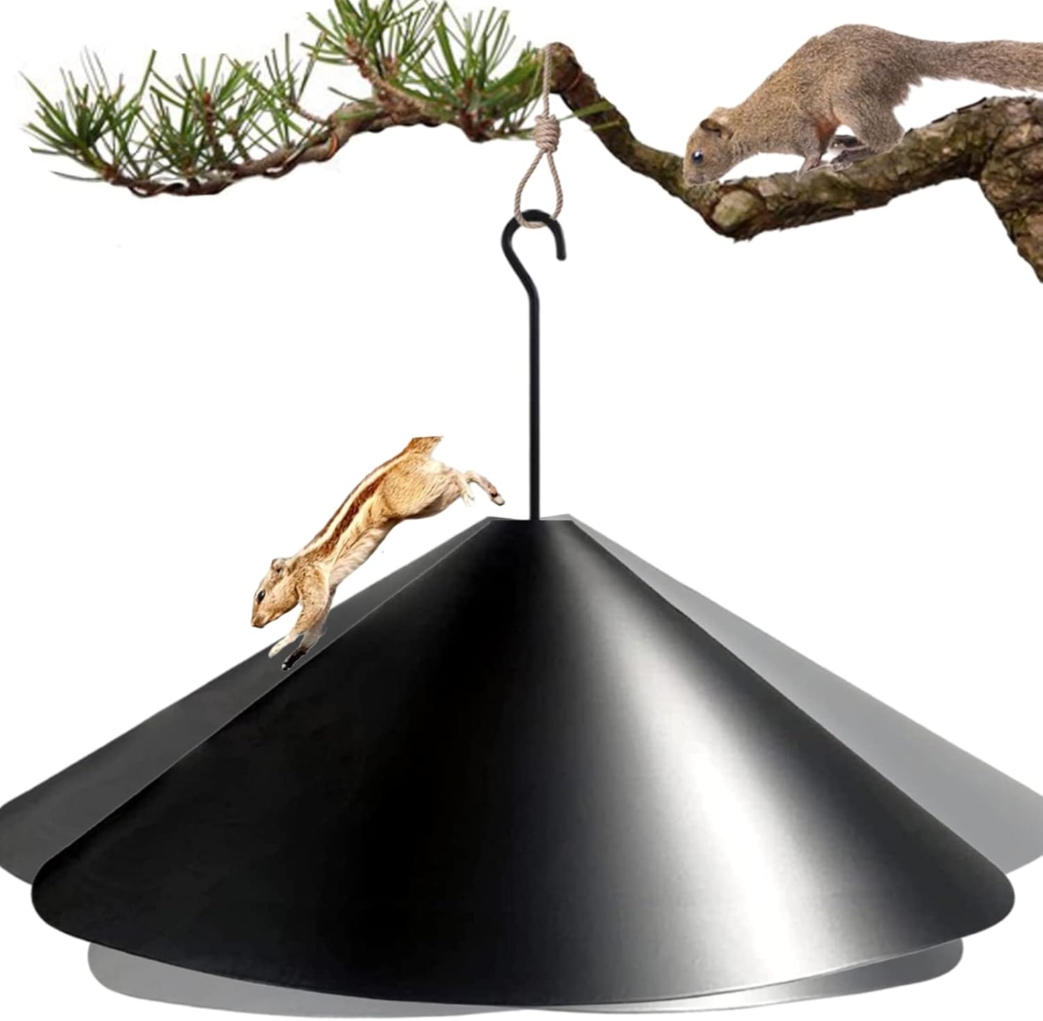 Amazon.com : Squirrel Baffle for Bird Feeders, Upgrade Wide Squirrel ...