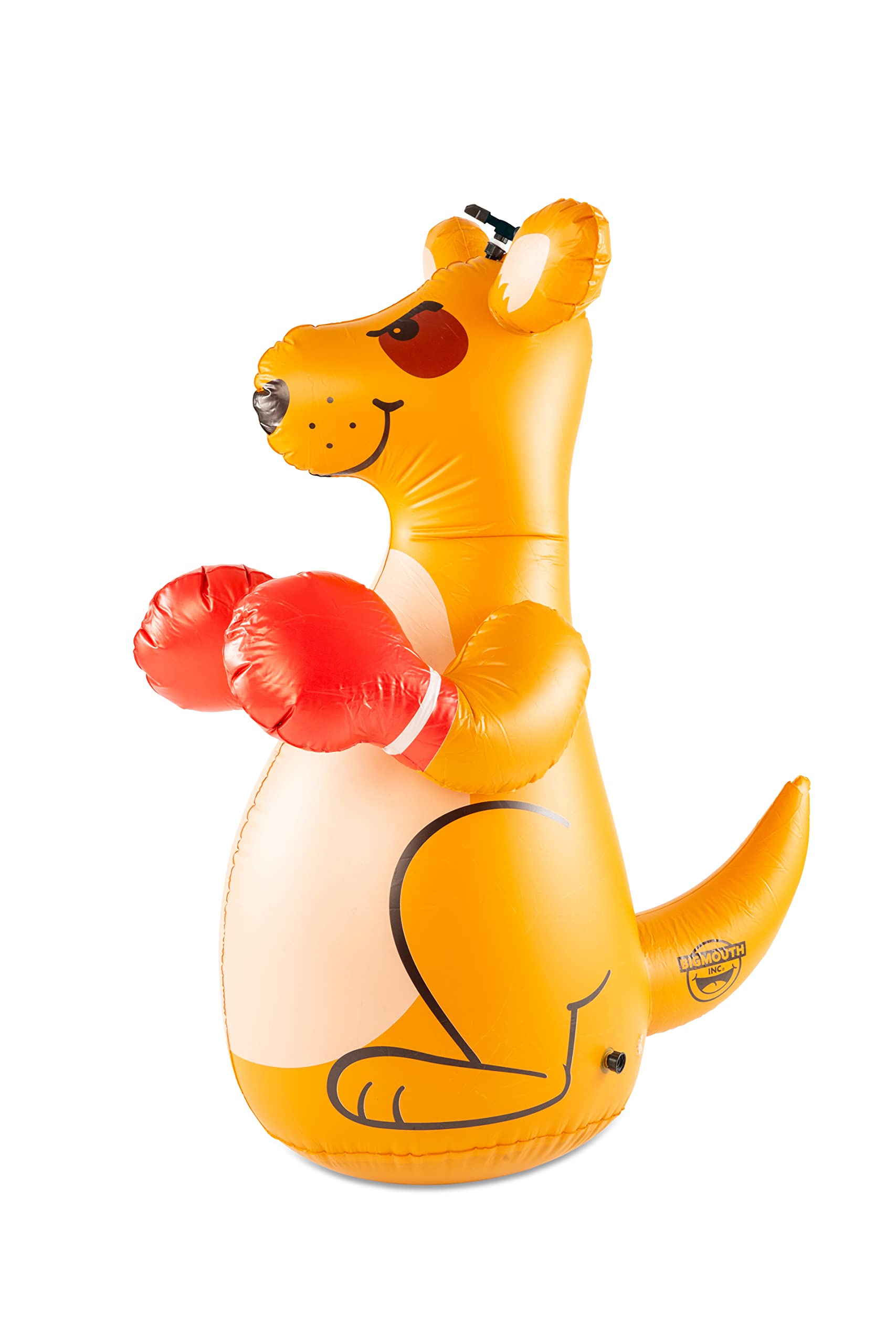 Kangaroo Cartoon Boxing