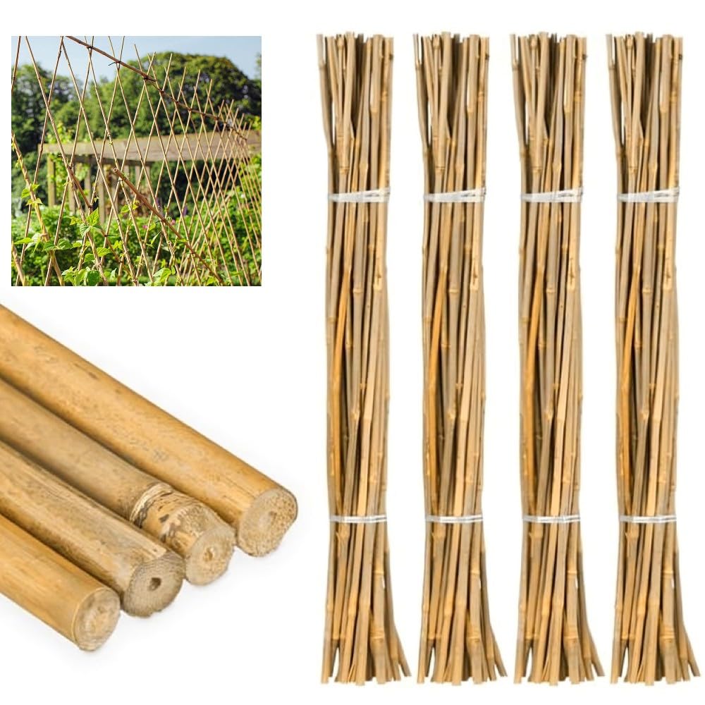 Bamboo Garden Canes Set - 2FT to 8FT, Heavy Duty, Thick Quality ...