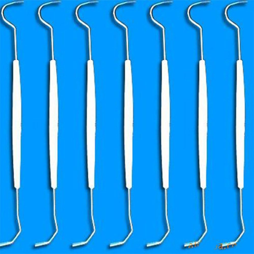 Amazon.com: 100Pcs Disposable Dental Probe Double Ends Explorer ...