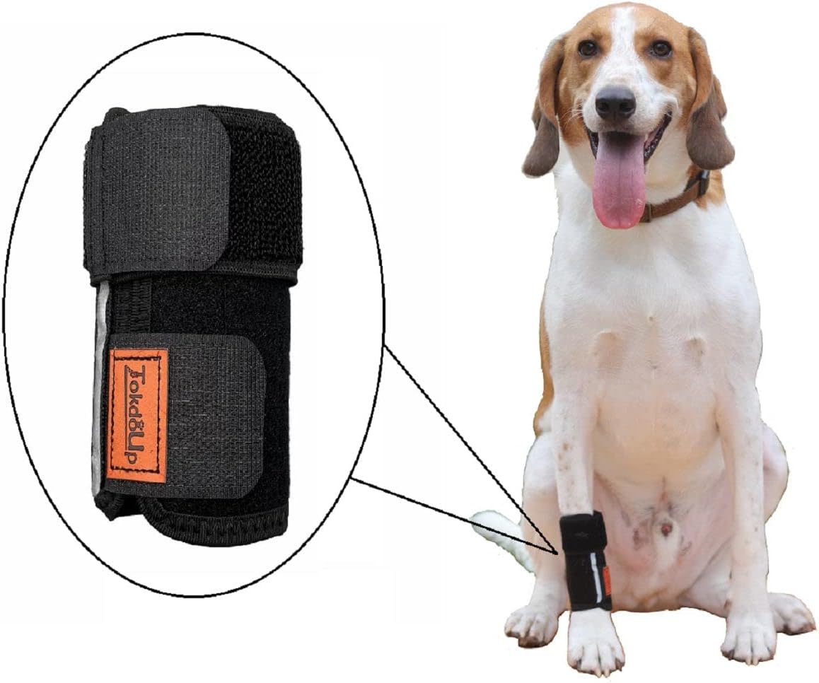 Buy TokdoUp D21GB Dog & Cat Front Leg Carpal Joint Wrist Brace with ...