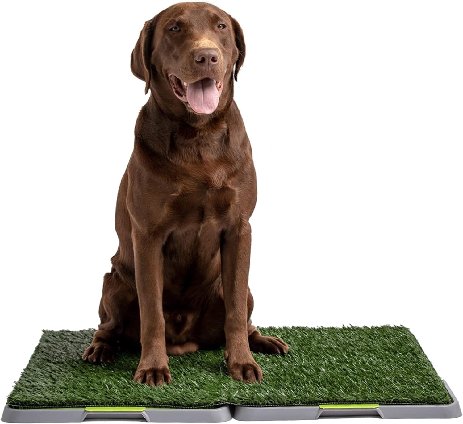 Pet Grass Pad with Tray, Artificial Turf Dog Grass Pee Pad Potty ...