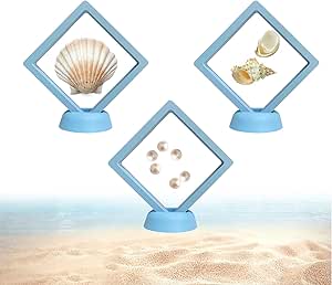 Amazon.com: 3 Pcs Seashell Holder 3D Floating Display Case, Challenge Coin Display Stand ...