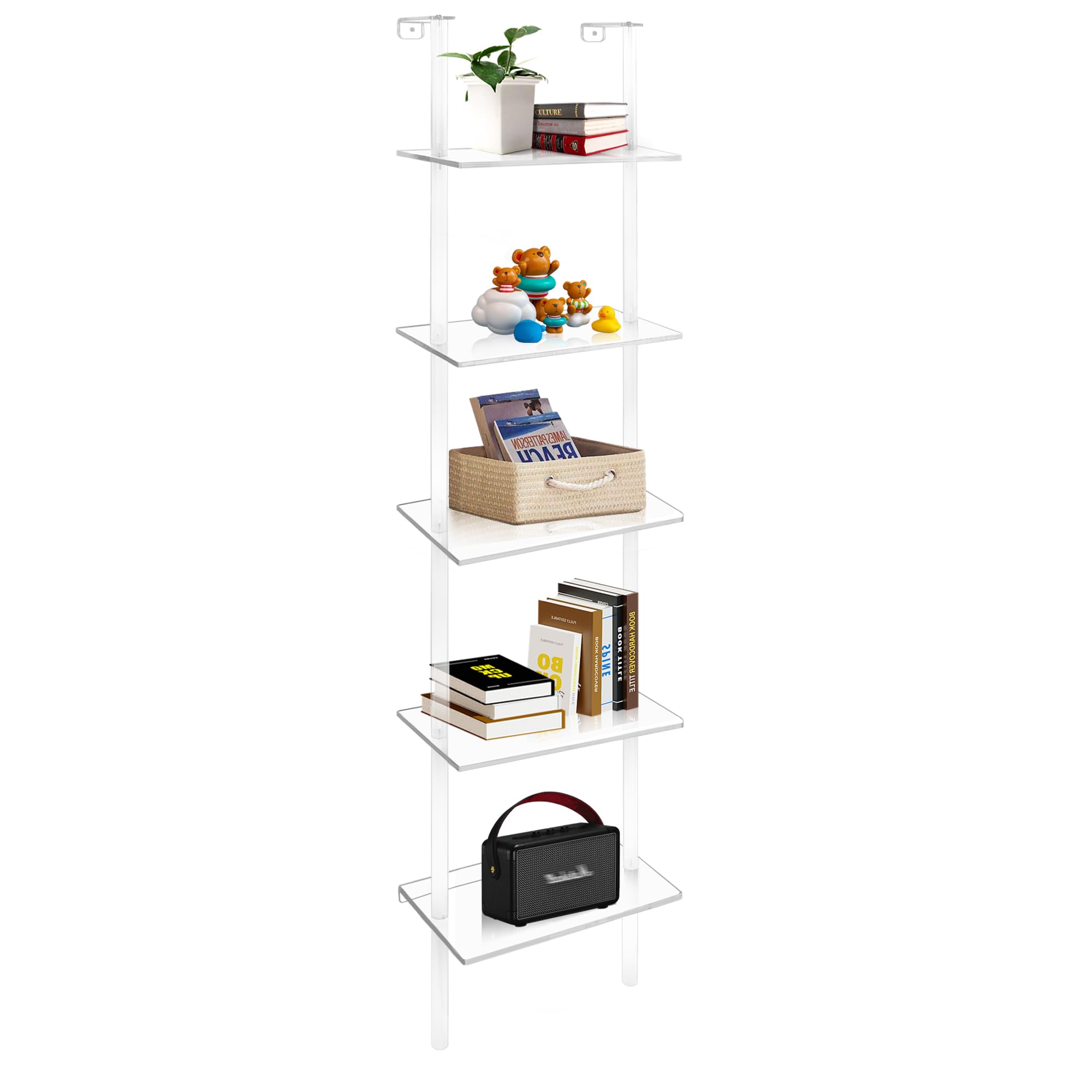 Amazon.com: Cutora Acrylic Ladder Bookshelf 9.5" D x 15.6" W x 73" H ...
