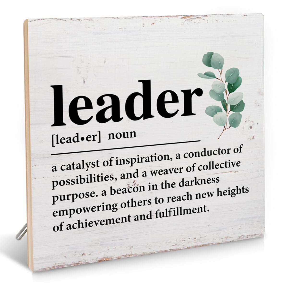 Amazon.com: Leader Appreciation Gifts, Retirement Gifts for Leader Boss ...