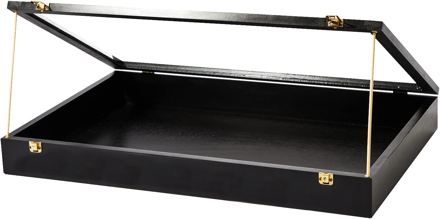 Portable Merchandise Display Case