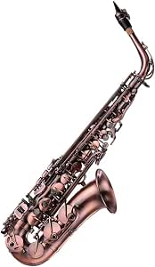 Amazon.com - EB Alto Saxophone E-Flat Sax Carved Pattern Woodwind ...