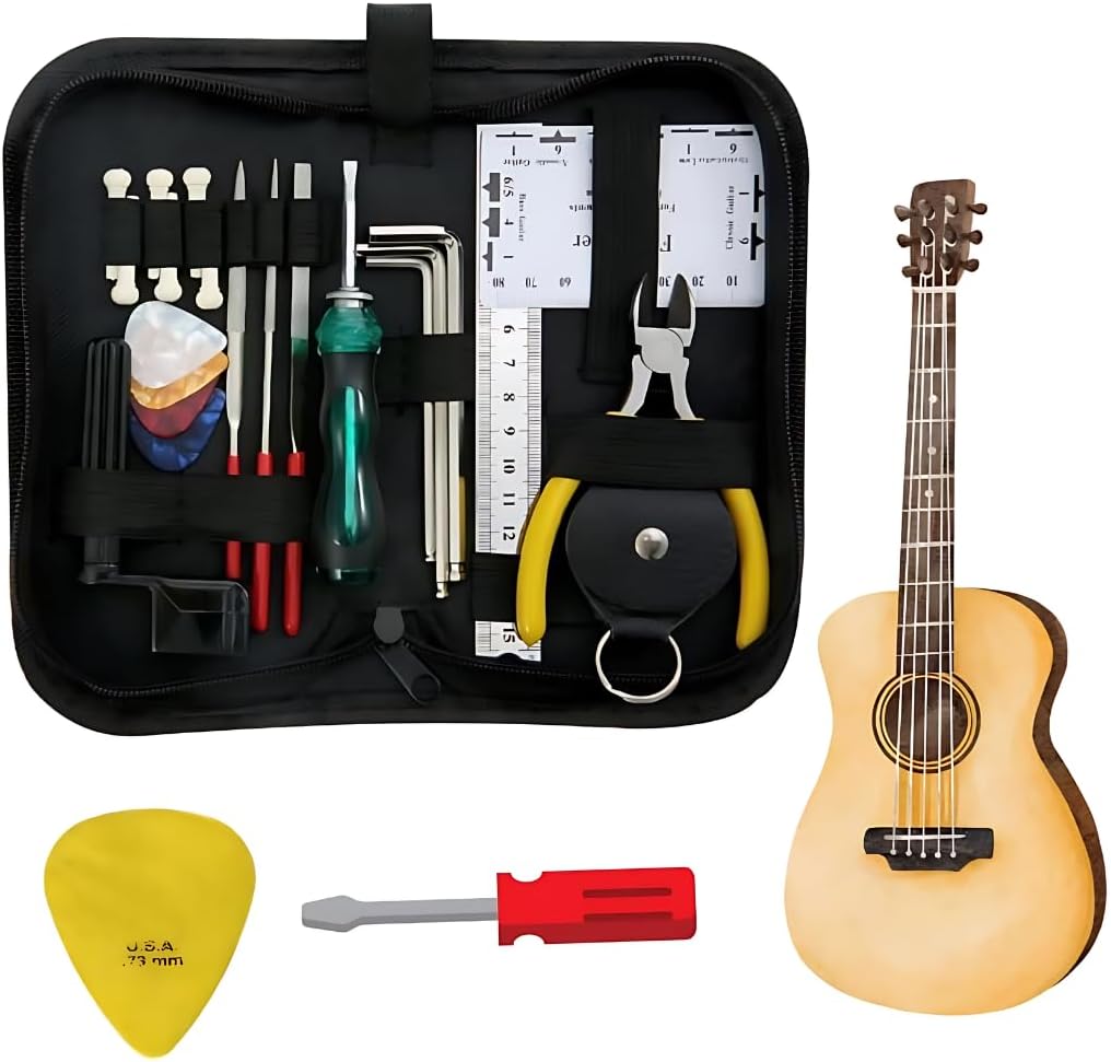 Complete 31-Piece Guitar Maintenance Tool Kit with Carrying Case ...