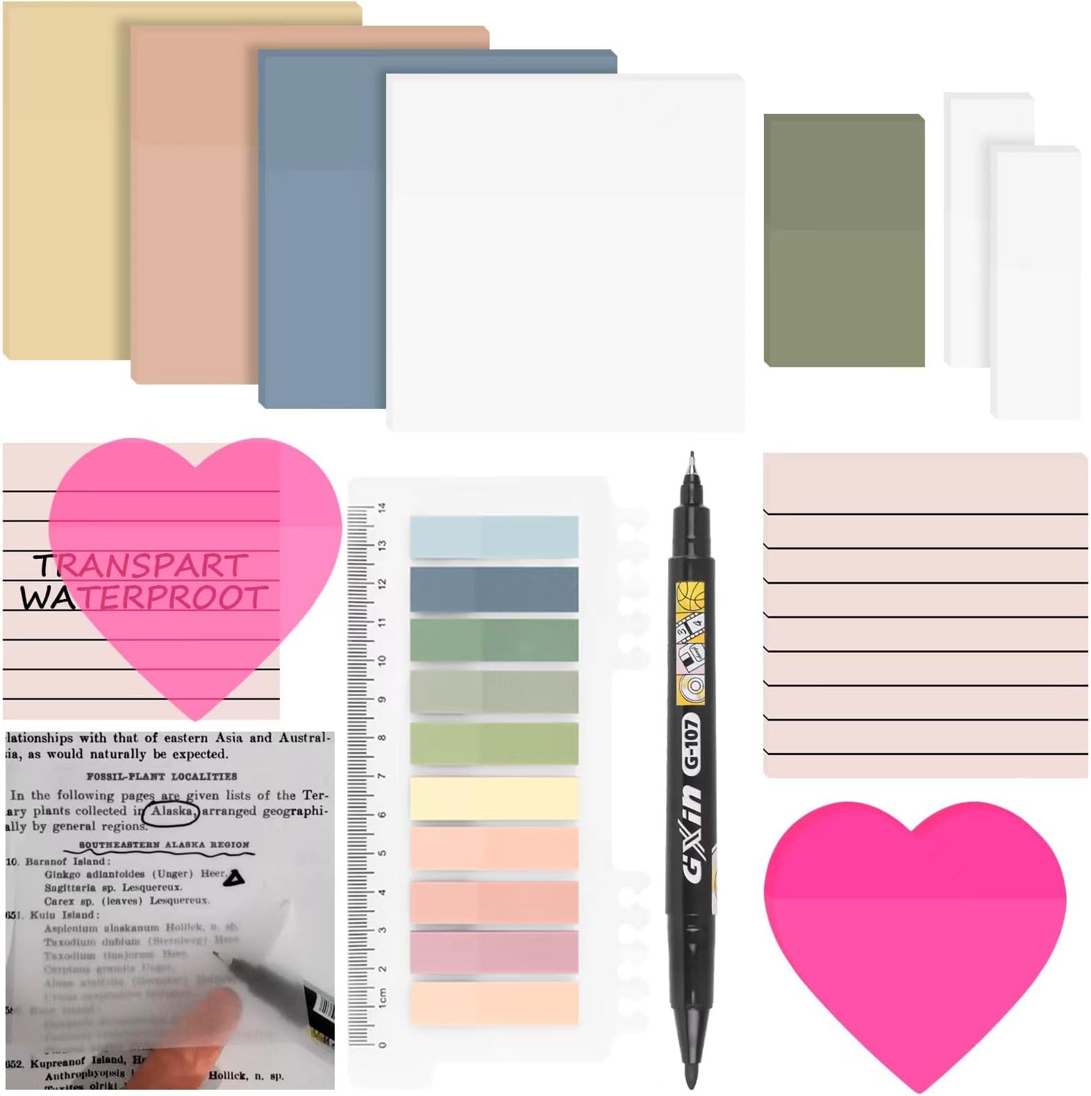 Amazon.com : Funny Notepads with Sayings Sticky Office Supplies to Do ...