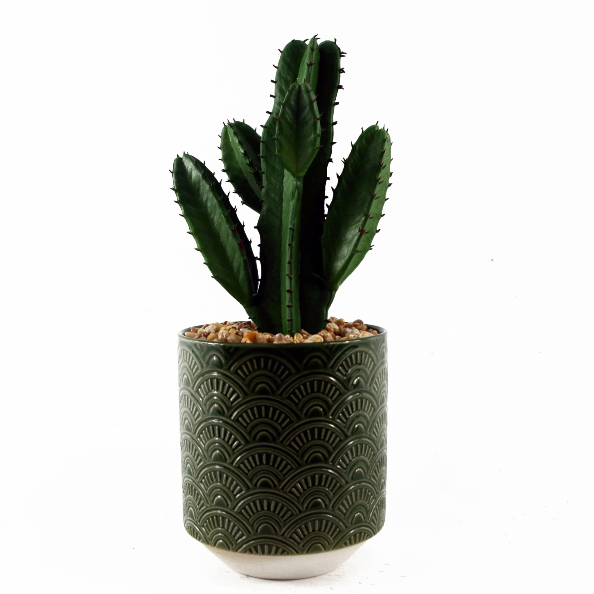 Leaf Design UK Realistic Cactus Plant in Ceramic Planter, 23cm : Amazon ...