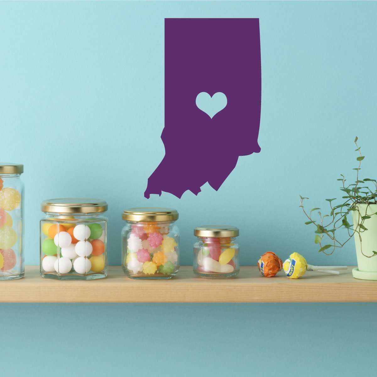 Amazon State Of Indiana Vinyl Wall Decor 19th State amazon-state-of-indiana-vinyl-wall-decor-19th-state