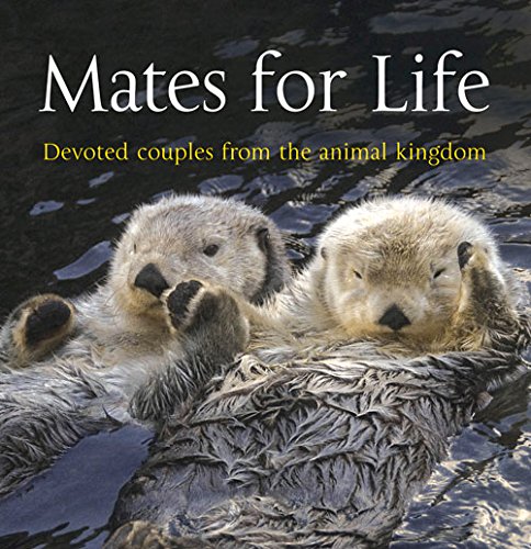 Amazon.com: Mates for Life: Devoted Couples from the Animal Kingdom ...