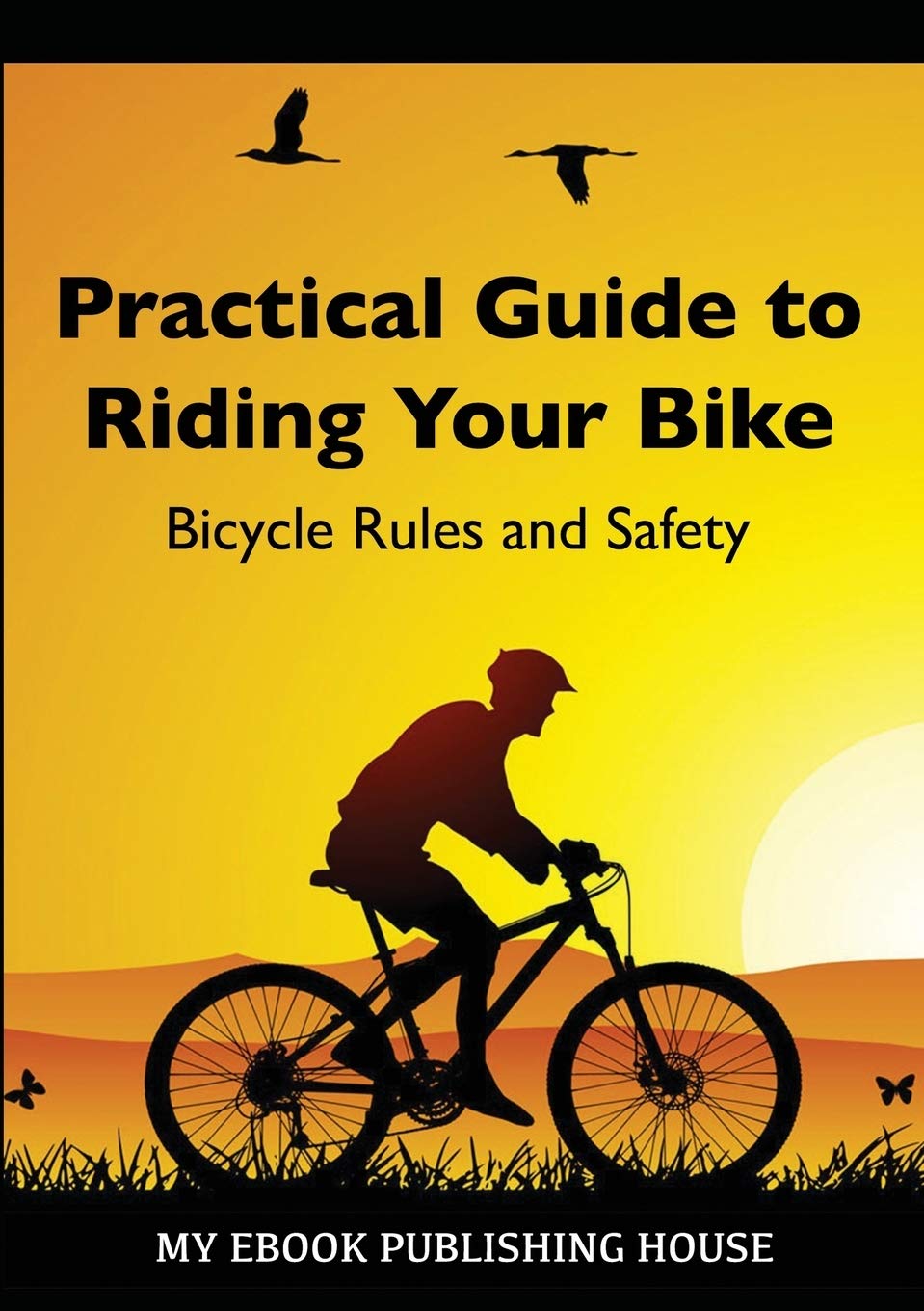 Practical Guide to Riding Your Bike - Bicycle Rules and Safety: My ...