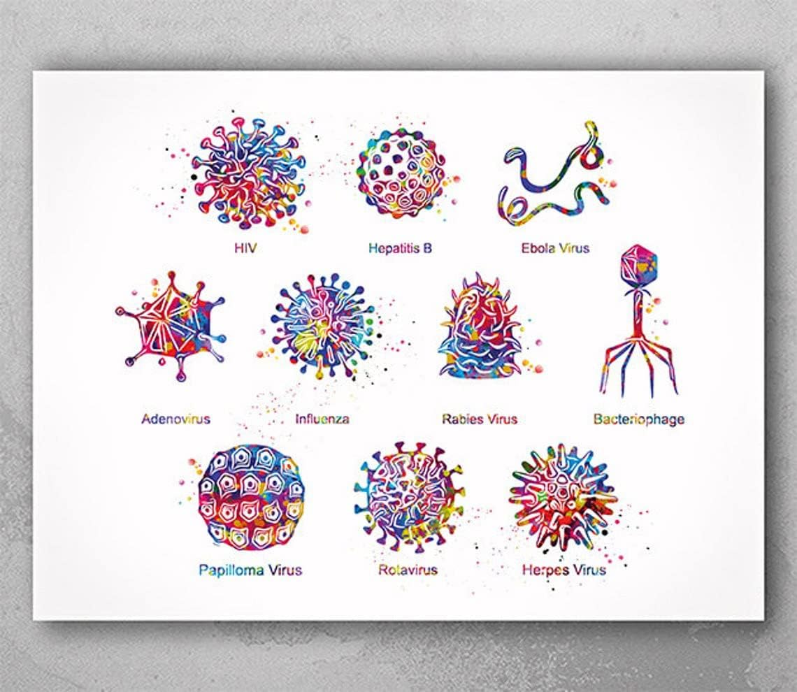 Amazon.com: Viruses Diagram Watercolor Print Medical Art Wall Art ...