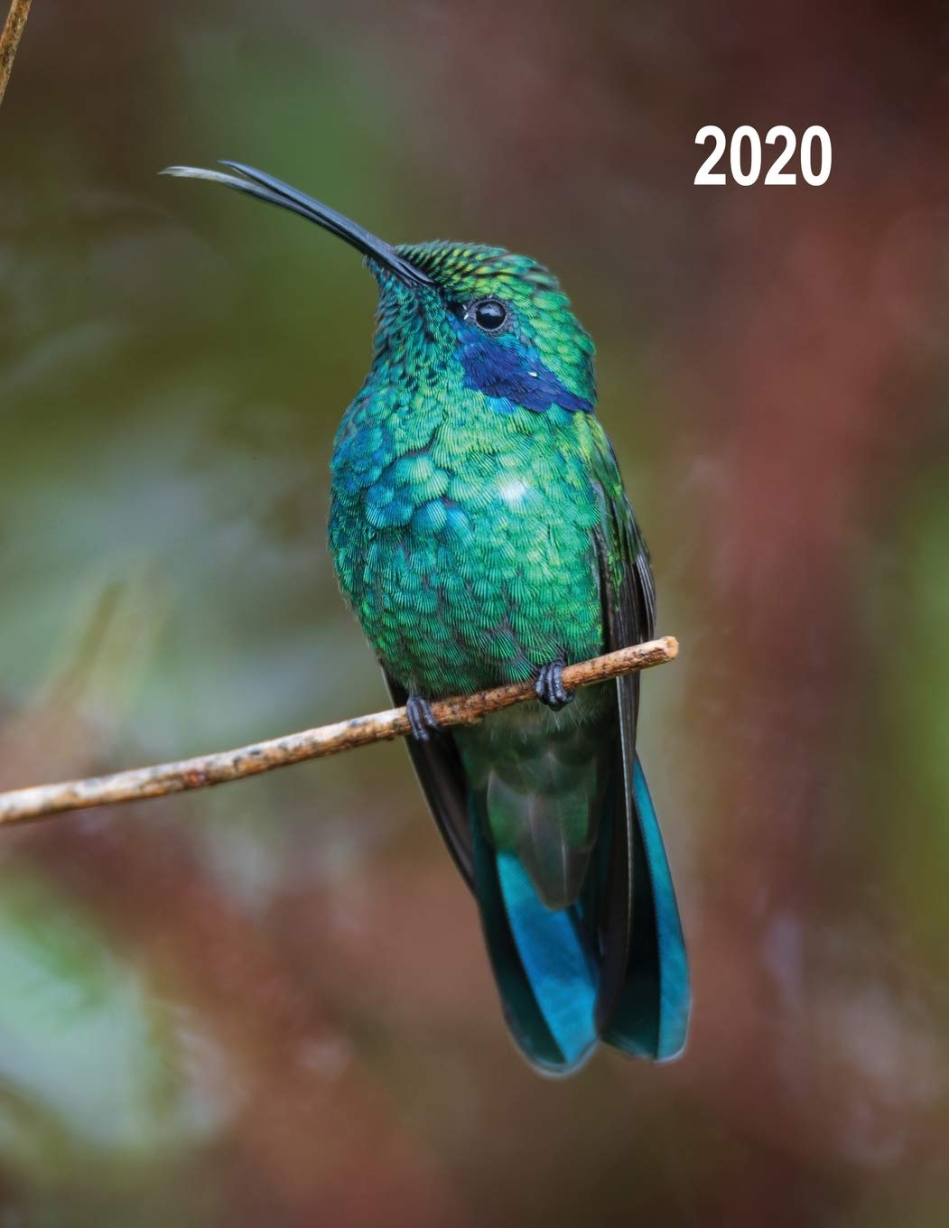 Low Vision Printable Calendar