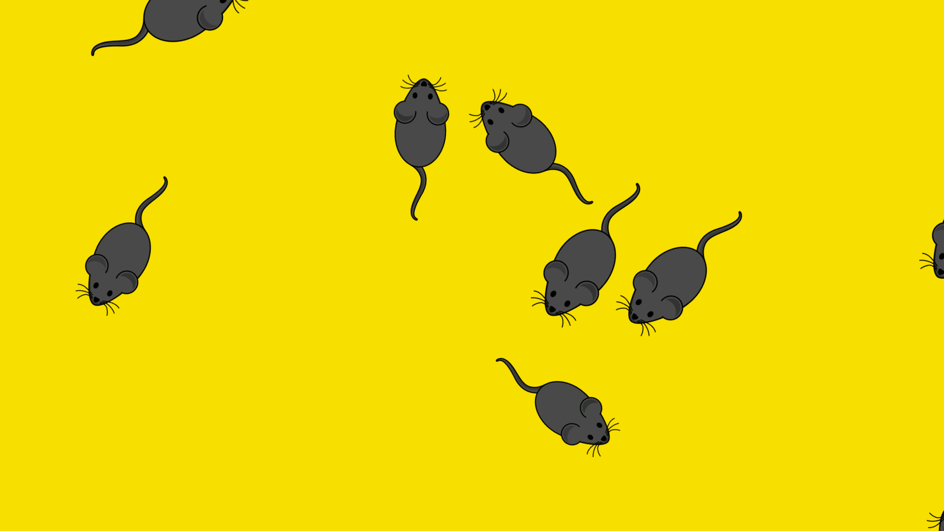 Mice Catch TV - App on Amazon Appstore