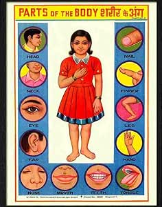 Print 1 parts of the body girl indian chart : Amazon.co.uk: Baby Products