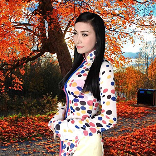 Amazon.com: Tuyen Tap Nhung Ca Khuc Tru Tinh Cua Ly Dieu Linh 1 : Ly ...