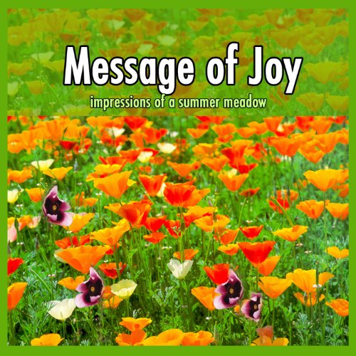Amazon.com: Message of Joy (Impressions of a Summer Meadow) : Parzzival ...
