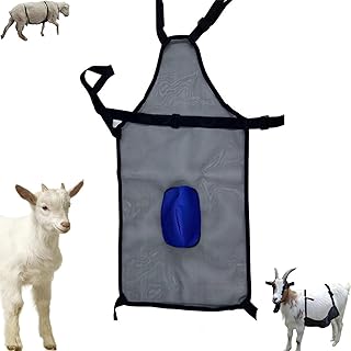 Goat Mating: How, When, And Why | PetShun