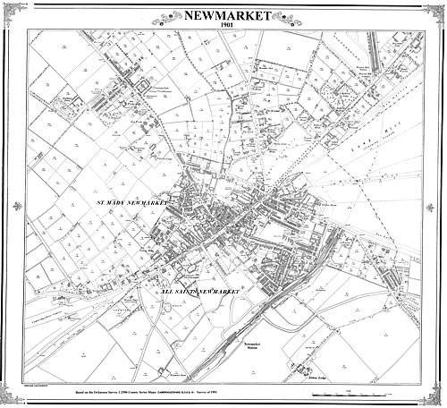 Buy Newmarket 1901 Map: No. 98 (Heritage Cartography Victorian Town Map ...