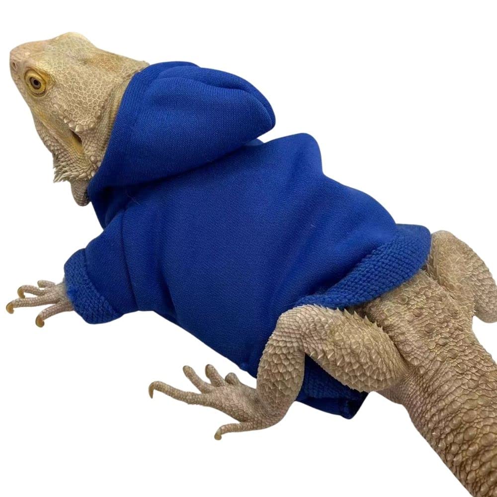 Amazon.com: KUNBIUH Lizard Clothes for Bearded Dragons Handmade Cloth ...