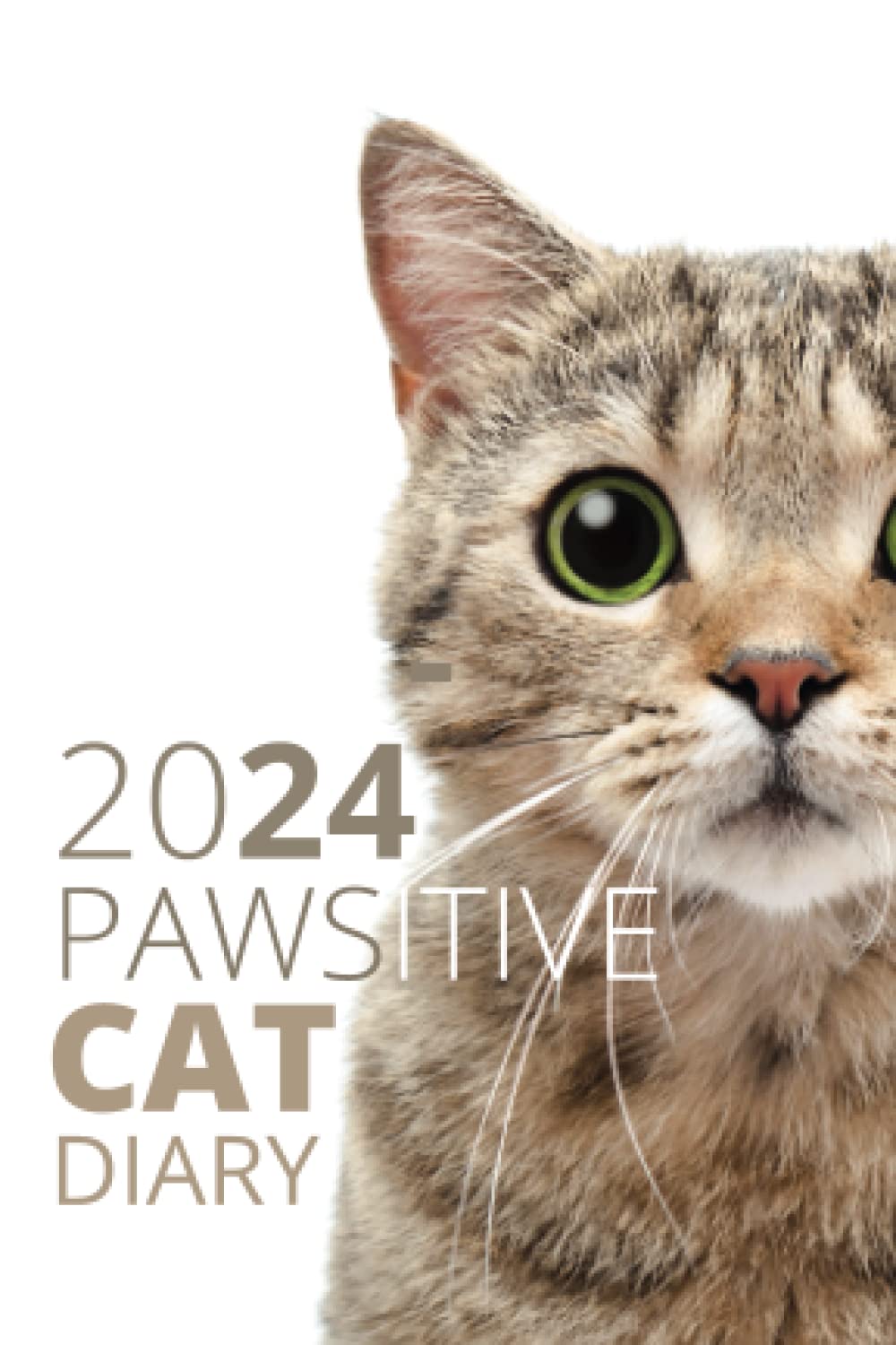 2024 Pawsitive Cat Diary: Small Weekly Planner, 12 Month, Large Print ...