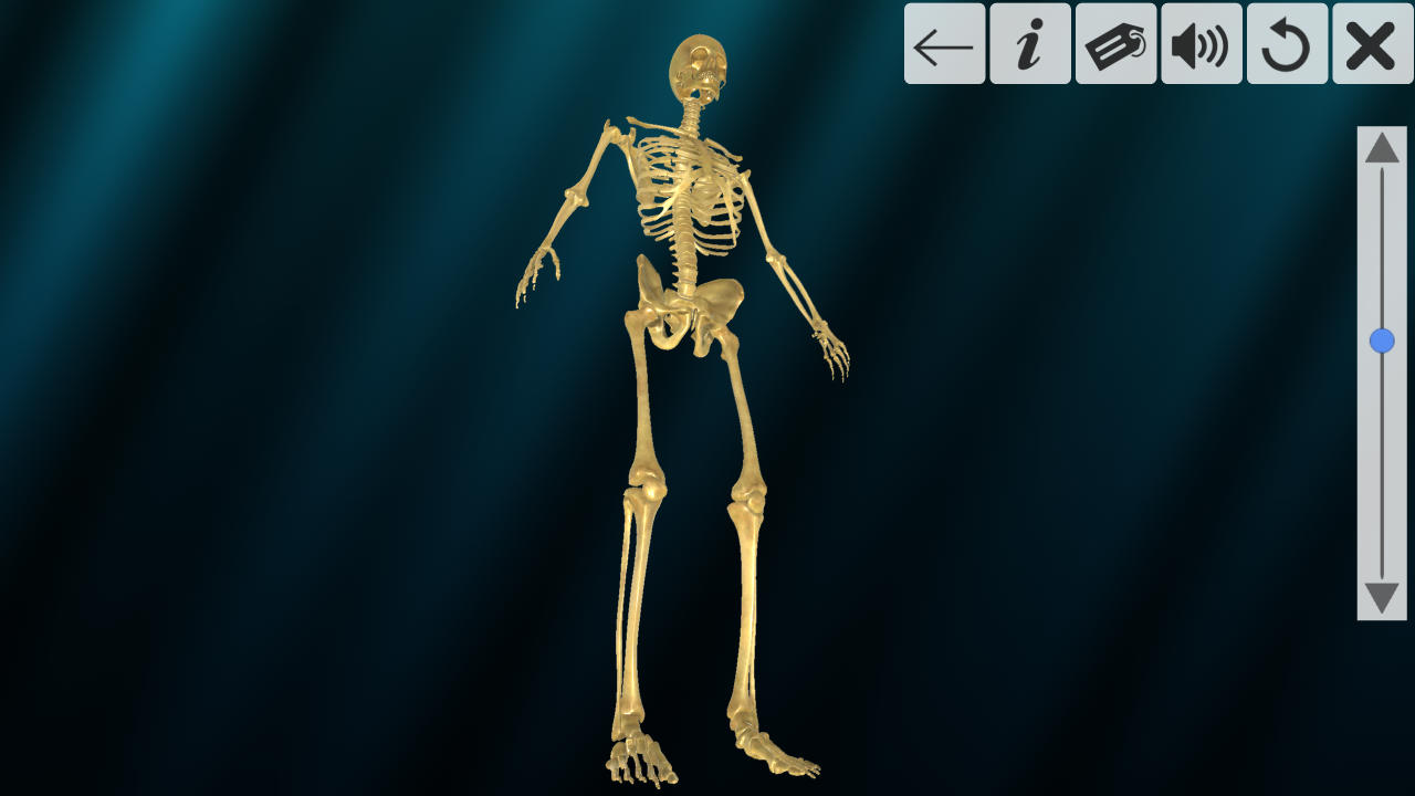 Incredible human body system - App on Amazon Appstore