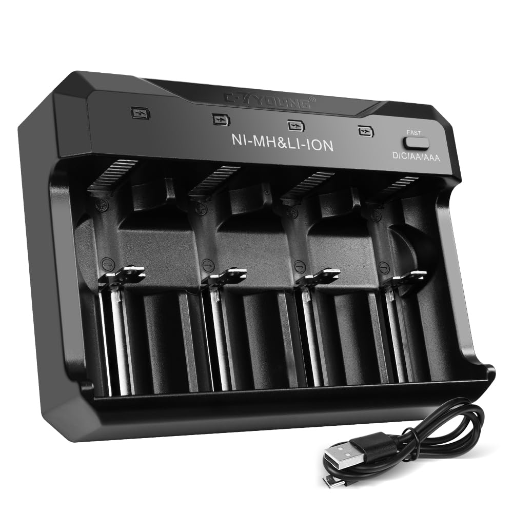 Amazon.com: Universal Battery Charger for AA AAA C D Lithium-Ion, NiMH ...