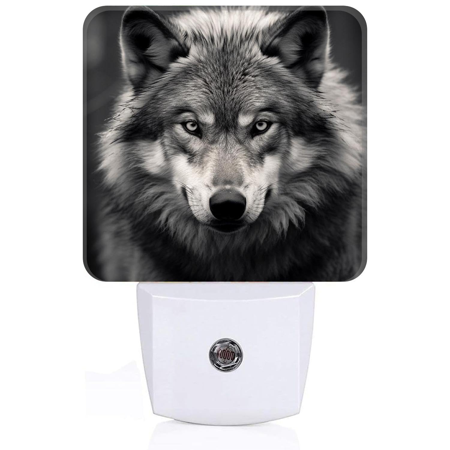 Lobo Gris Al Anochecer