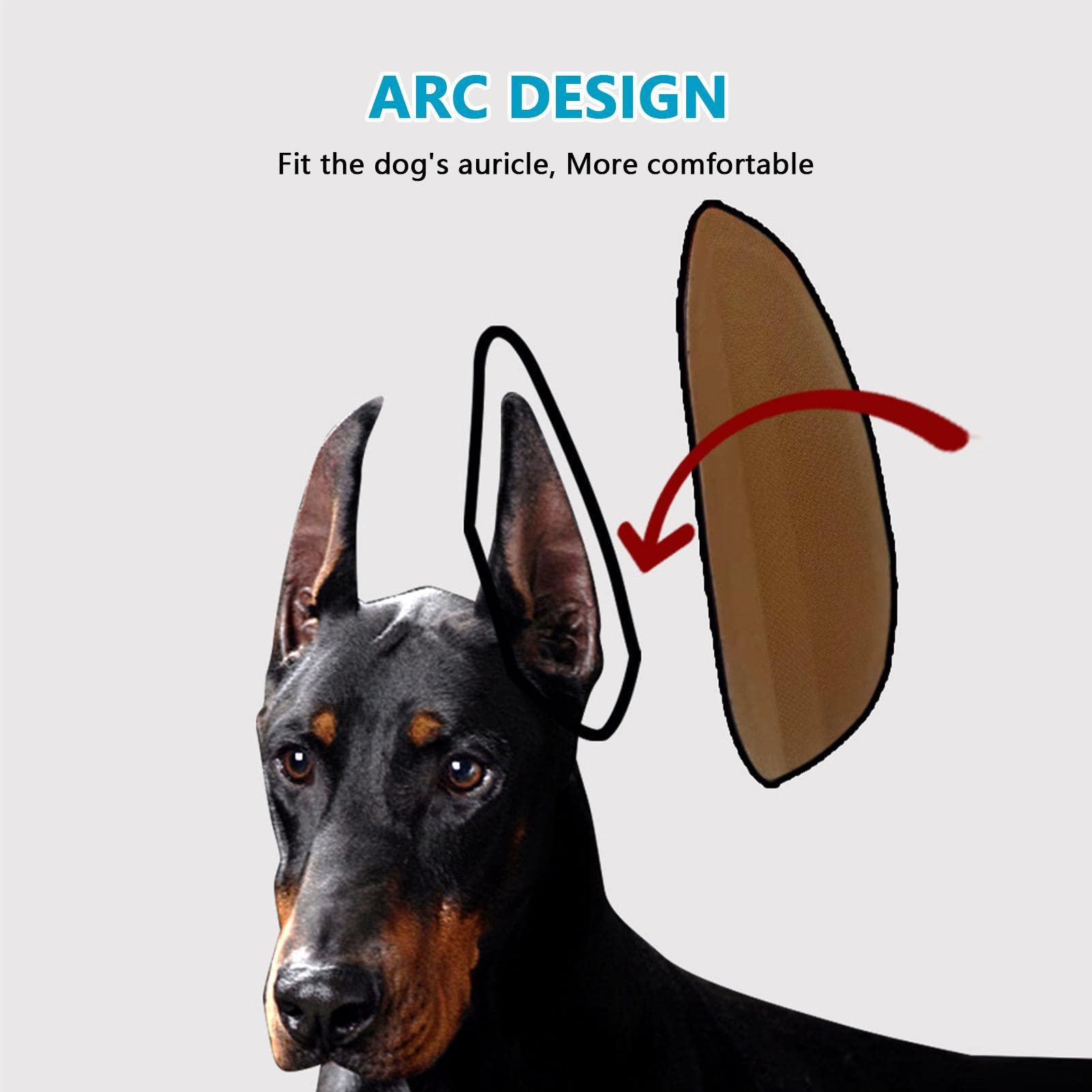 Doberman Ear Cropping Styles Amazon.com : Dog Ear Stand Up Support