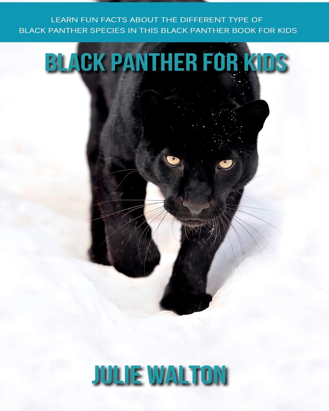 Buy Black Panther for Kids - Learn Fun Facts About The Different Type ...