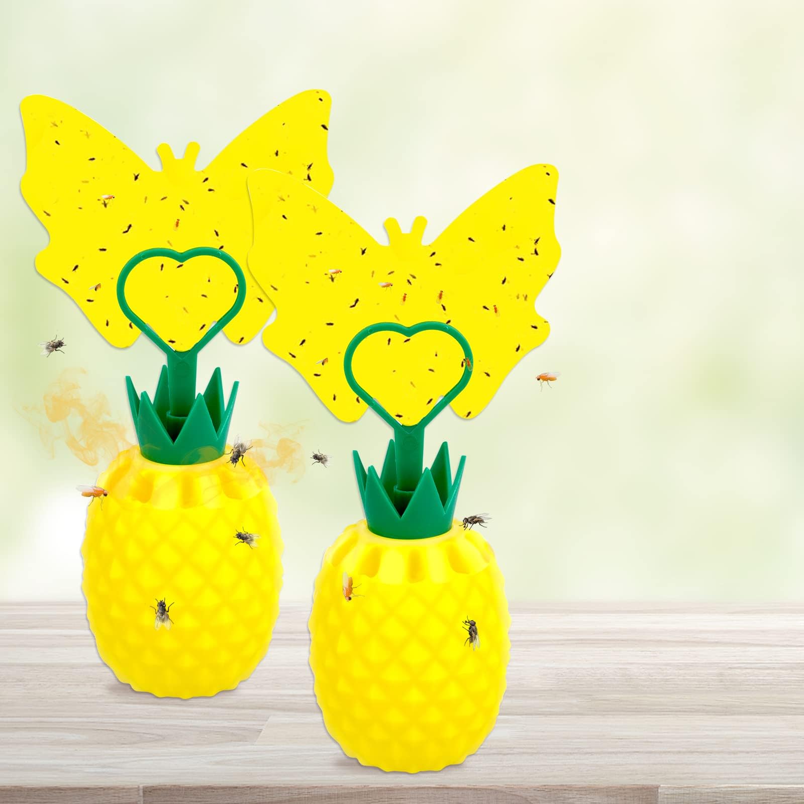 Amazon.com : Fruit Fly Traps with 8Pcs Sticky Pads,Gnat Traps with Bait ...