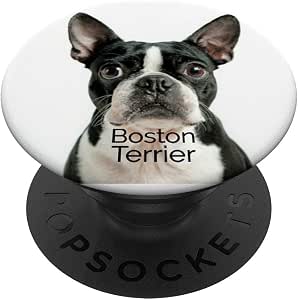 Amazon.com: Boston Terrier Dog Lover Gift Puppy Chew Toy Dogs Pop ...