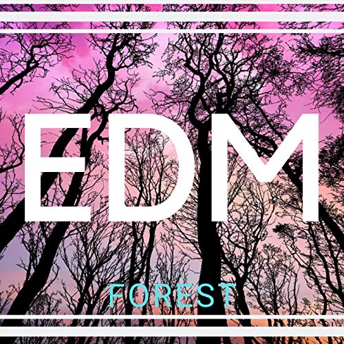 Amazon.com: EDM FOREST : VARIOUS ARTISTS: Digital Music