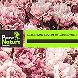 【発売日：2020年08月30日】・製造元:Pure Nature Harmony