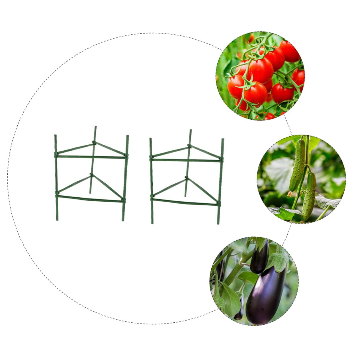 Yardenfun 2 Sets Planting Vine Climbing Frame Grid Plate Steel Rose ...