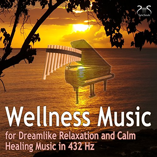 Amazon.com: Wellness Music for Dreamlike Relaxation and Calm - Healing ...