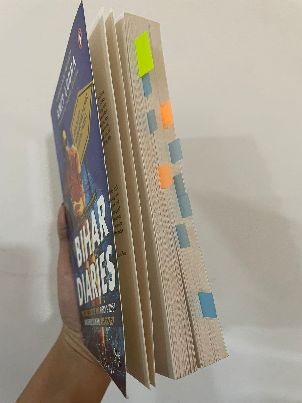 Bihar Diaries: The True Story of How Bihar's Most Dangerous Criminal ...