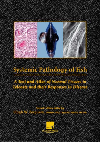 Systemic Pathology of Fish: Ferguson, Hugh: 9780955303708: Amazon.com ...