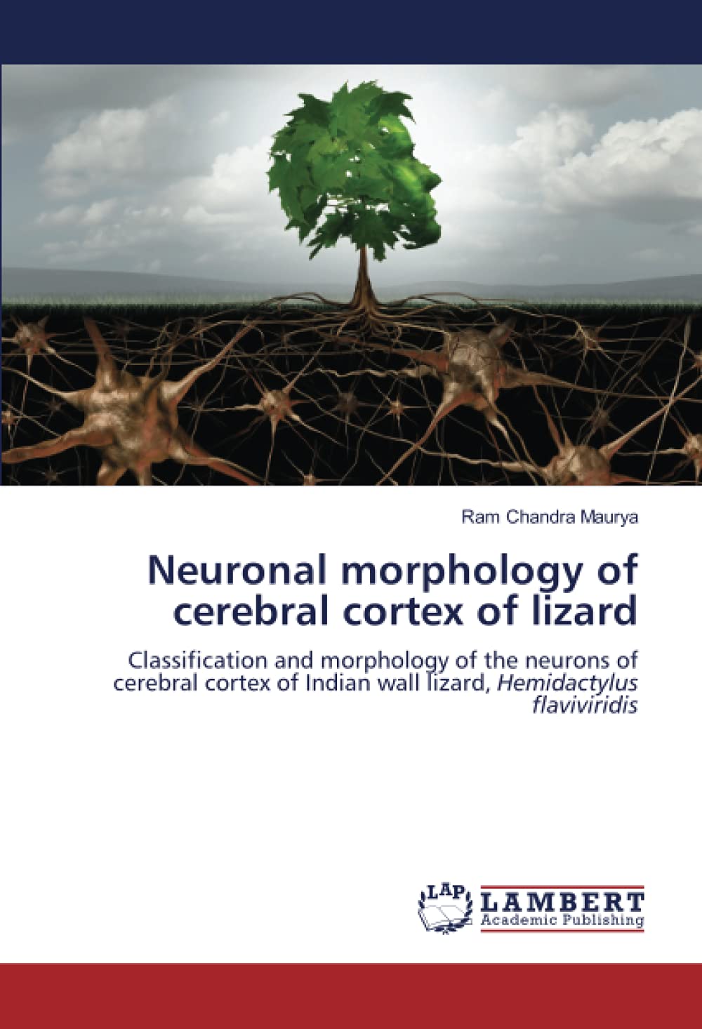Buy Neuronal morphology of cerebral cortex of lizard: Classification ...